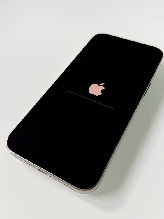 Apple iPhone 15 Pro Max Titane 1TB with Warranty (Gebraucht) in Sion ...