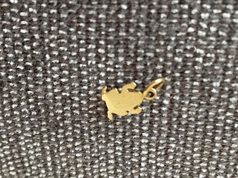 DoDo Frog - Gelbgold 18K (Gebraucht) in Zürich für CHF 120 – mit Lieferung auf Ricardo kaufen