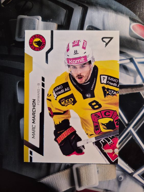 Marc Marchon SC Bern 2024/25 Sportzoo (Gebraucht) in Treiten für CHF 17 ...