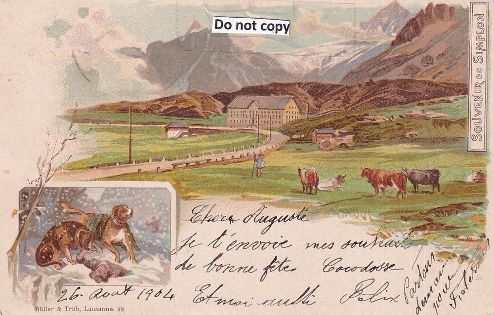 Simplon - Pass VS mit Stabstempel: Simplon-Hospiz um 1904 (Gebraucht) in Niedergesteln für CHF ...