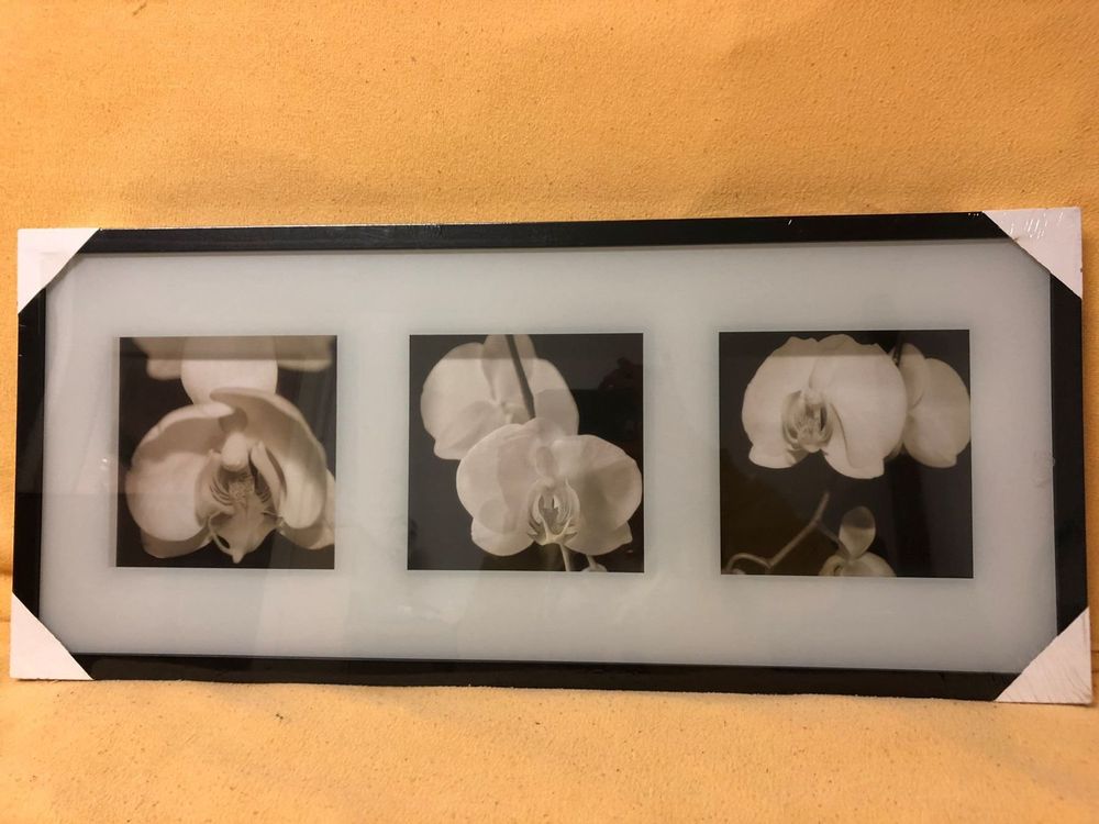 IKEA ERIKSLUND Bild "Orchidee" - 72x32 cm | Kaufen auf Ricardo