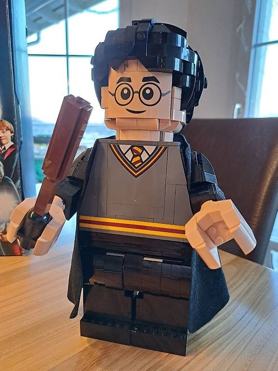 LEGO 76393 Harry Potter und Hermione Granger (Gebraucht) in Lutzenberg ...