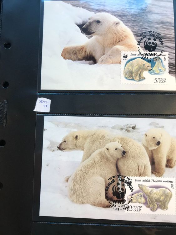 Sowjetunion CCCP 1987 Satz WWF Eisbär Maximumkarten (Neu (gemäss Beschreibung)) in Liestal für ...
