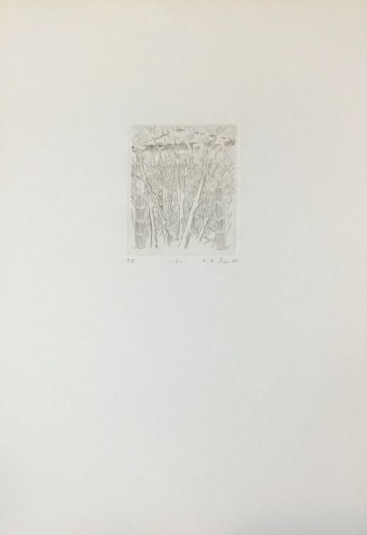 Hans-Rudolf FITZE (1956) Sehr Seltener Radierung Handsignier | Acheter sur Ricardo