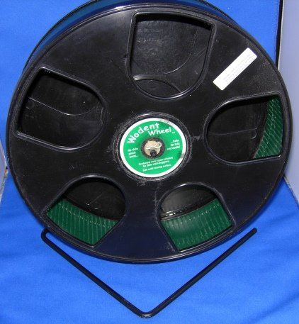 Laufrad - Wodent Wheel für Tiere (Gebraucht) in Dübendorf für CHF 7 ...