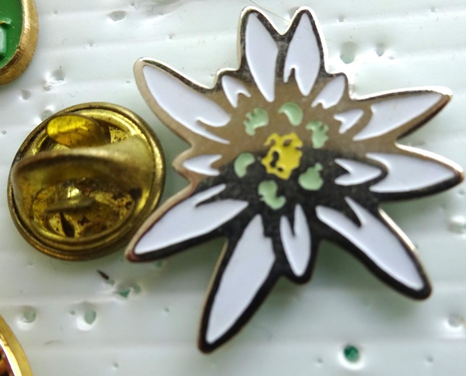 Pin Edelweiss | Kaufen auf Ricardo