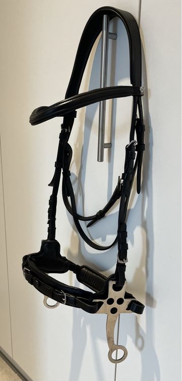 Hackamore Zaum (Neu (gemäss Beschreibung)) in Aristau für CHF 49 – mit ...