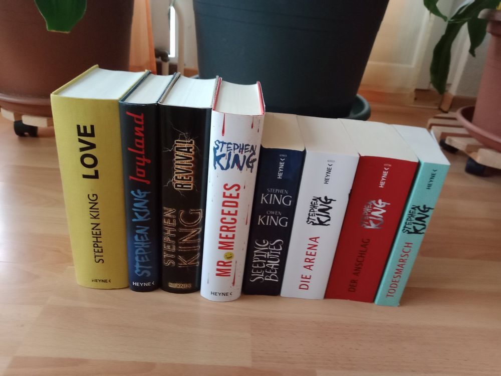 8x Stephen King Thriller Horror Bücher Romane Roman (Gebraucht) in ...