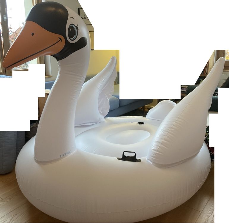 Intex luftmatratze - Swan and Pump (Gebraucht) in Zürich für CHF 5 ...