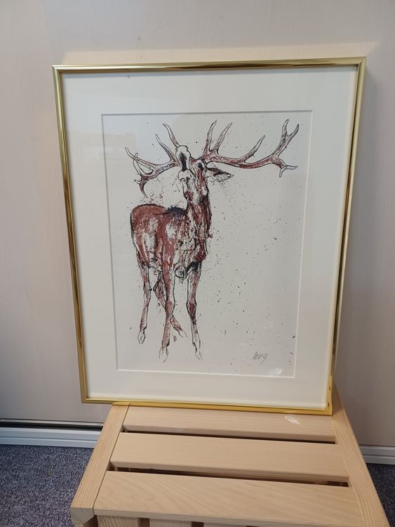 Bild mit Rahmen "Hirsch" (Neu und originalverpackt) in Affoltern am Albis für CHF 1 – mit ...