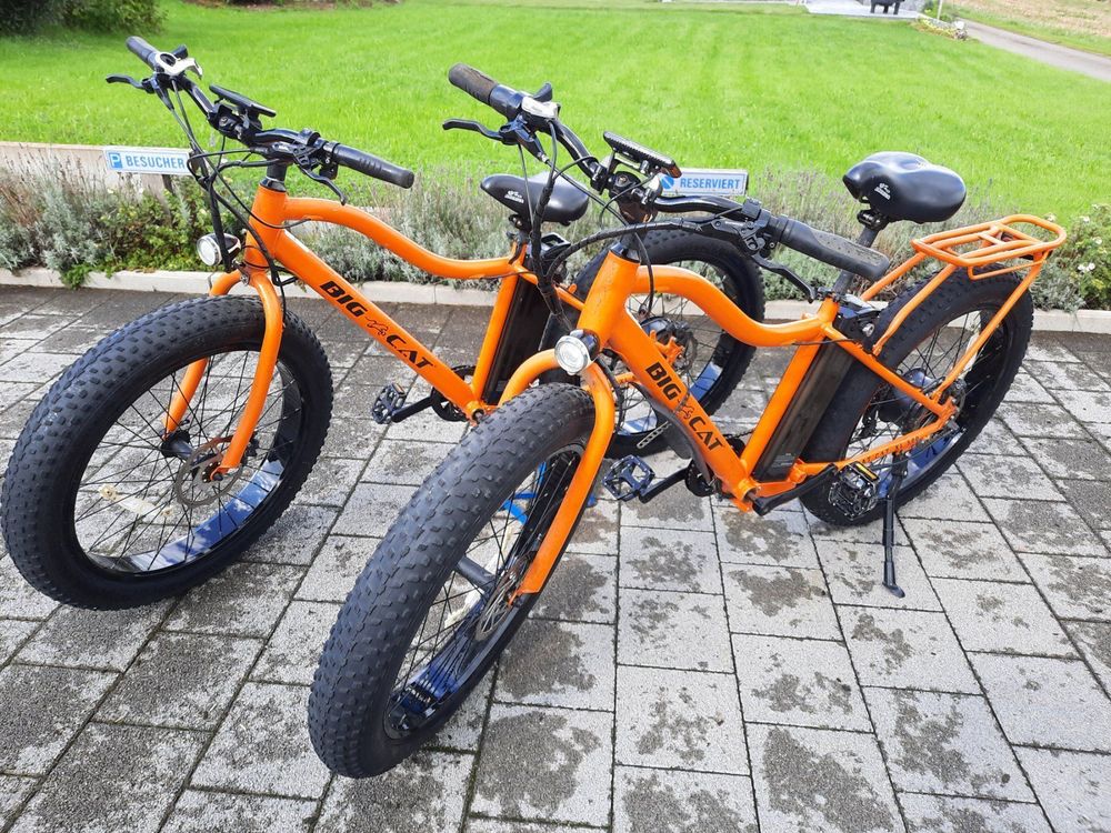 Velo E-Bike Bic-Cat America | Kaufen auf Ricardo