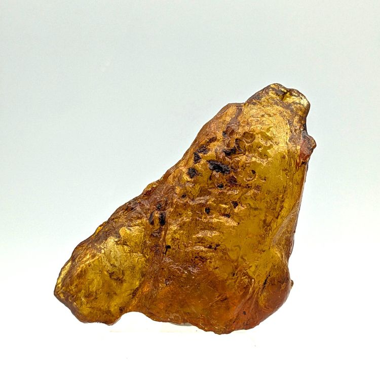 HONIGFARBENER KOPAL-BERNSTEIN mit MÜCKEN und INSEKTEN (Neu (gemäss Beschreibung)) in Balerna für ...