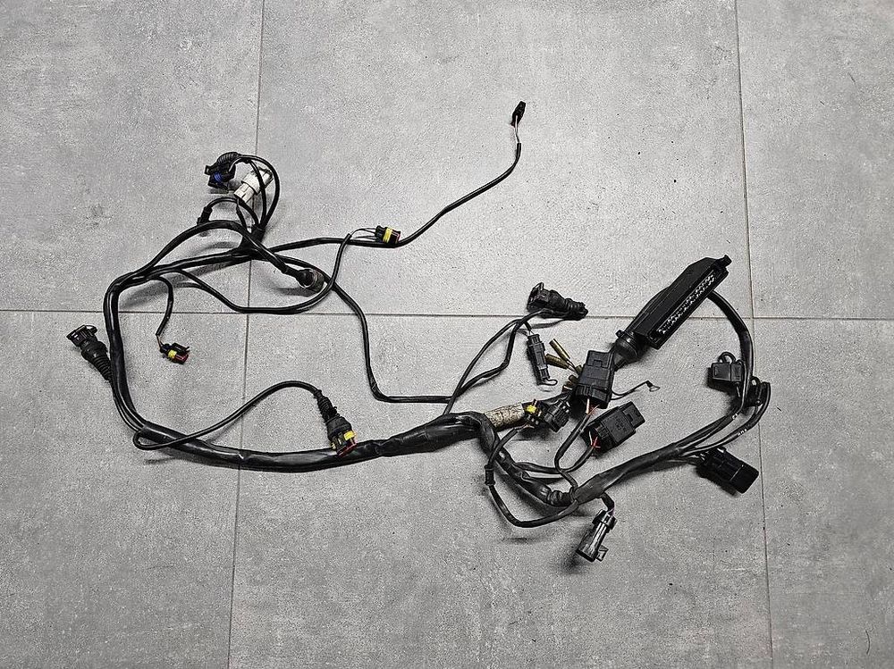 Ducati 748 916 996 998 Injektionsverkabelung mit Steuergerät (Gebraucht) in Visp für CHF 330 ...