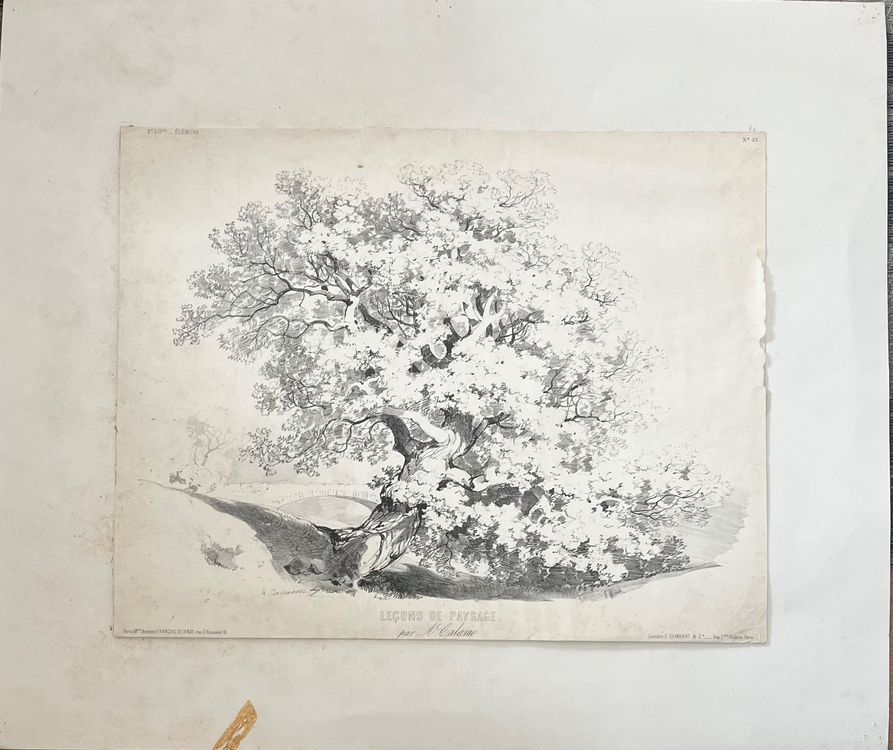 Alexandre Calame (1810-1864) Lithographie (Gebraucht) in Root für CHF 5 ...