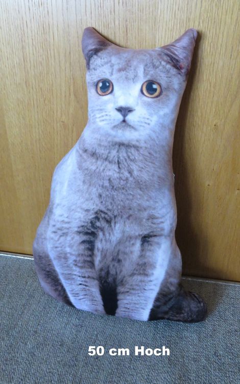 Kissen - KATZE - Grösse: 50cm - Neu (Neu und originalverpackt) in Grenchen für CHF 24.9 – mit ...