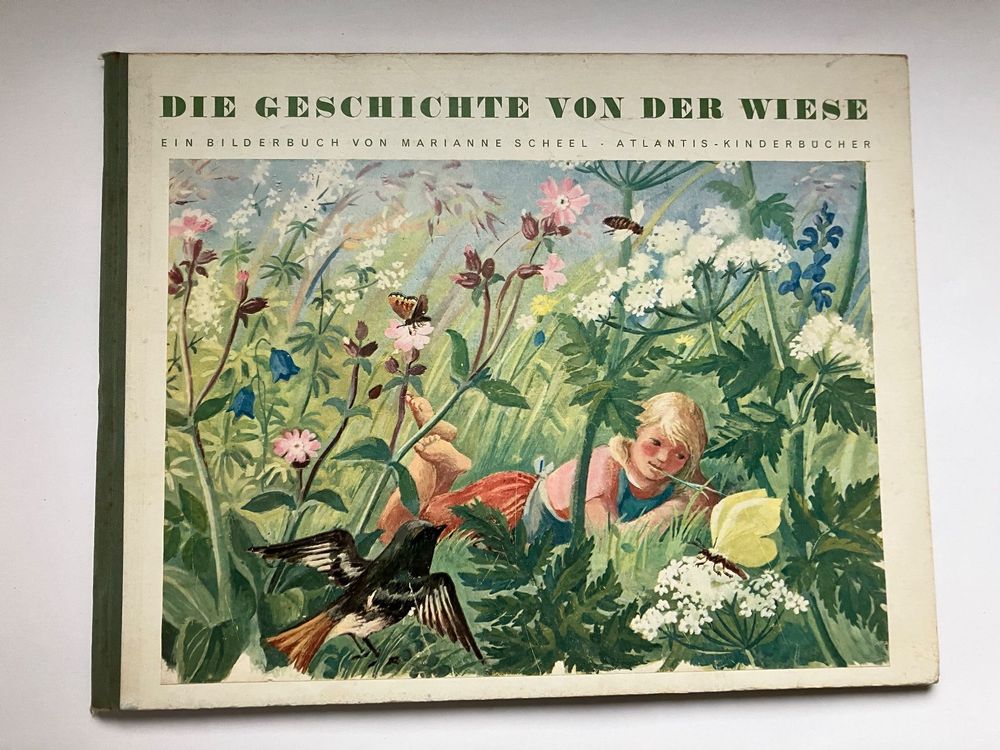 Die Geschichte von der Wiese Bilderbuch von Marianne Scheel (Gebraucht ...
