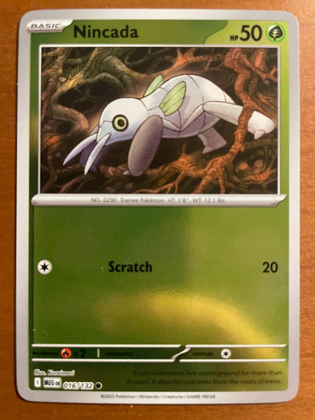 Pokemon Nincada Reverse (Versand gratis) (Neu (gemäss Beschreibung)) in ...