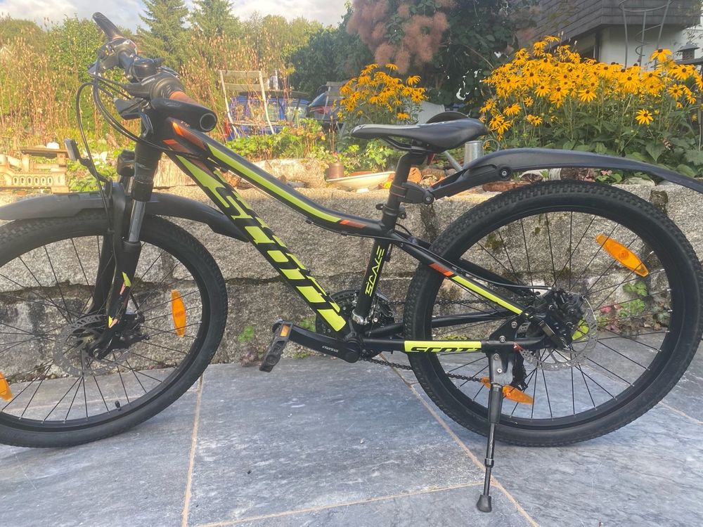 MTB Scott Scale JR 24 Zoll | Kaufen auf Ricardo