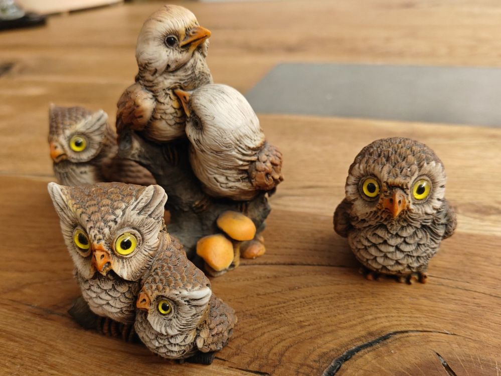 Süsse Eulen-Figuren – Deko-Set / Sammlung – 5 Stück (Gebraucht) in Birr ...