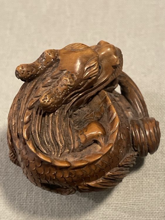 Netsuke Holz, zusammengerollter Drachen, signiert (Gebraucht) in ...