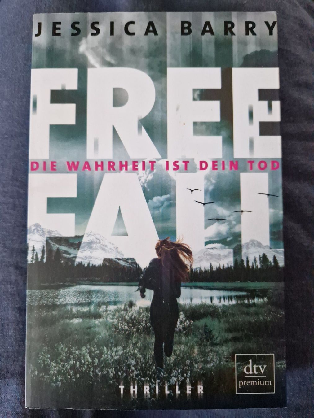 Jessica Barry Freefall Die Wahrheit ist dein Tod Thriller (Gebraucht ...