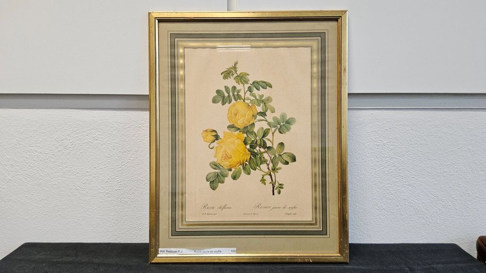 Pierre-Joseph REDOUTÉ (1759-1840) Estampe-Multiple (Gebraucht) in Malleray für CHF 1 – mit ...