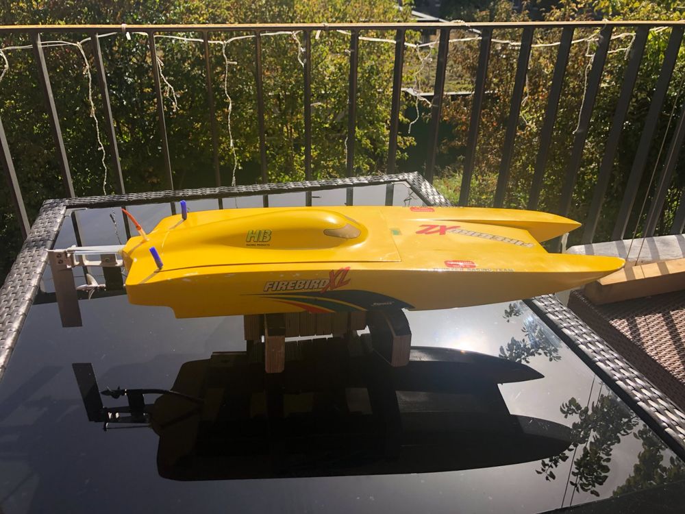 RC Katamaran Ripmax Firebird (Gebraucht) in Thalwil für CHF 74 – nur ...