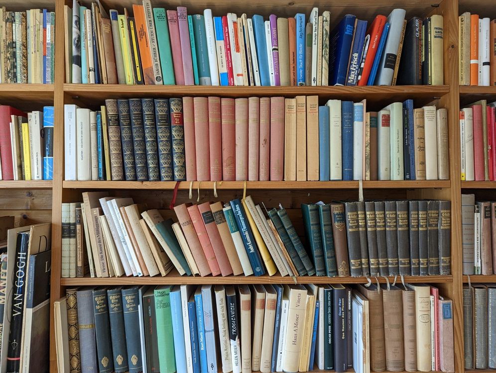 Bücherwand, Bibliothek, Schallplatten | Kaufen auf Ricardo