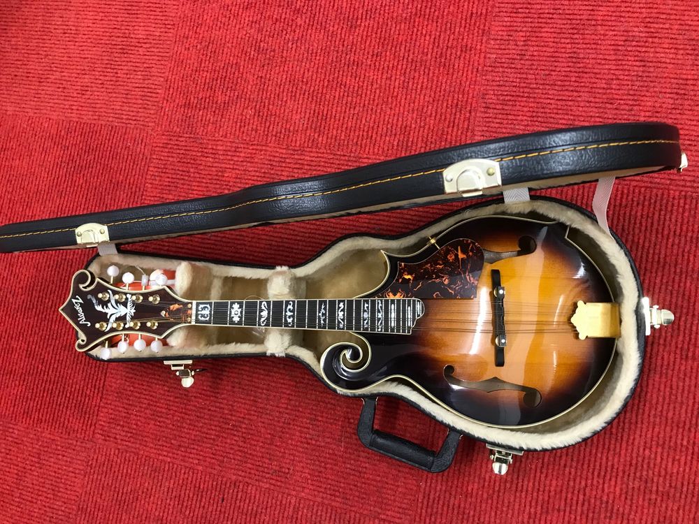 Mandoline Alvarez A800 (Neu (gemäss Beschreibung)) in für CHF 440 – mit ...