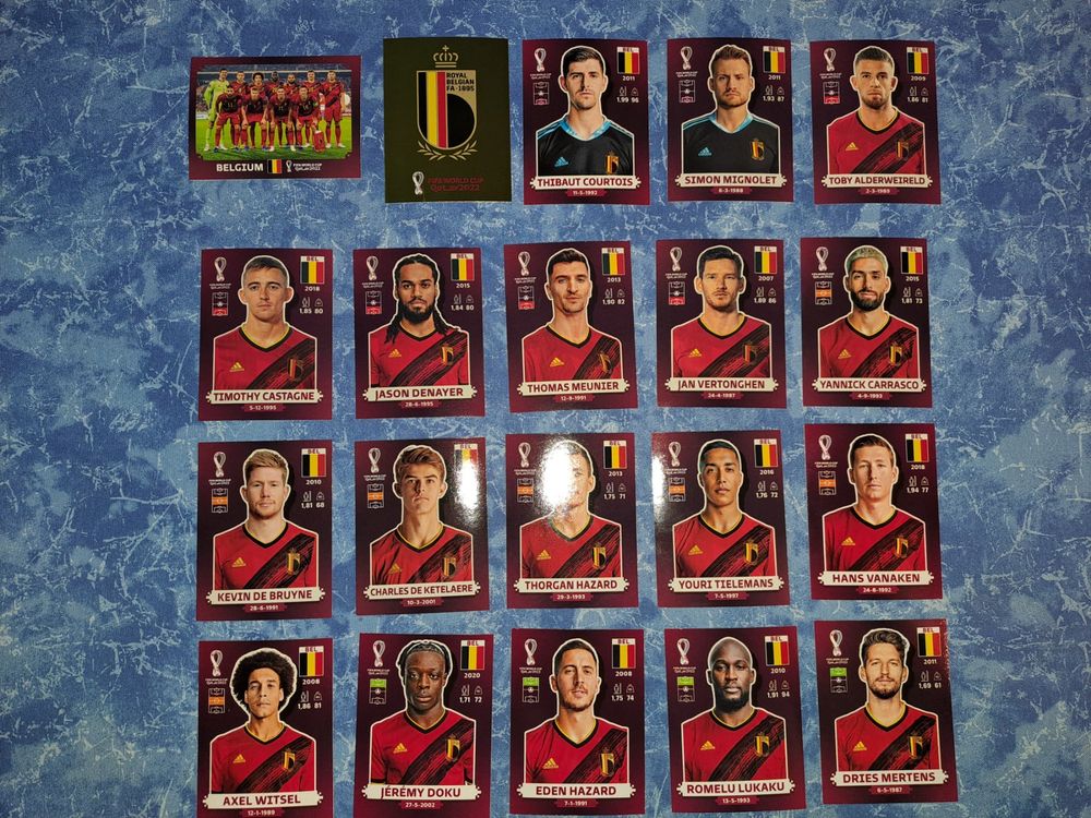 Panini WM 2022 Belgien komplett (Neu (gemäss Beschreibung)) in Aefligen ...