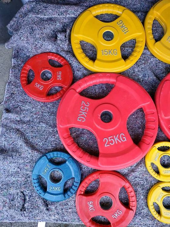 Hantelscheiben 107.5 kg 50 / 51 mm farbig (Gebraucht) in Muri b. Bern ...