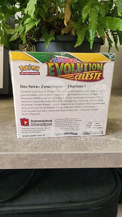Display Évolution Céleste Scellé/Neuf Cartes Pokémon (Neuf avec ...