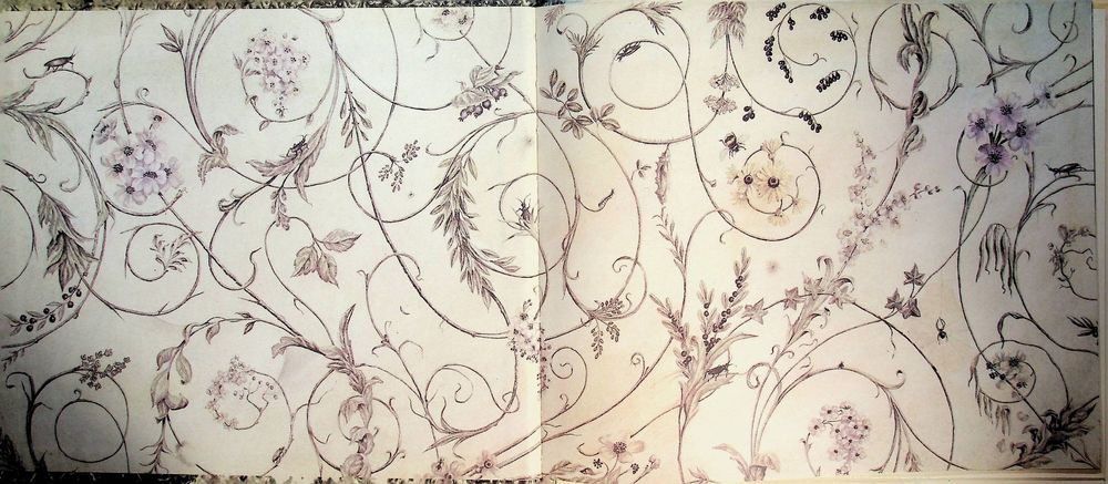 Martin Waddell & Angel Barrett Das verborgene Ei | Kaufen auf Ricardo