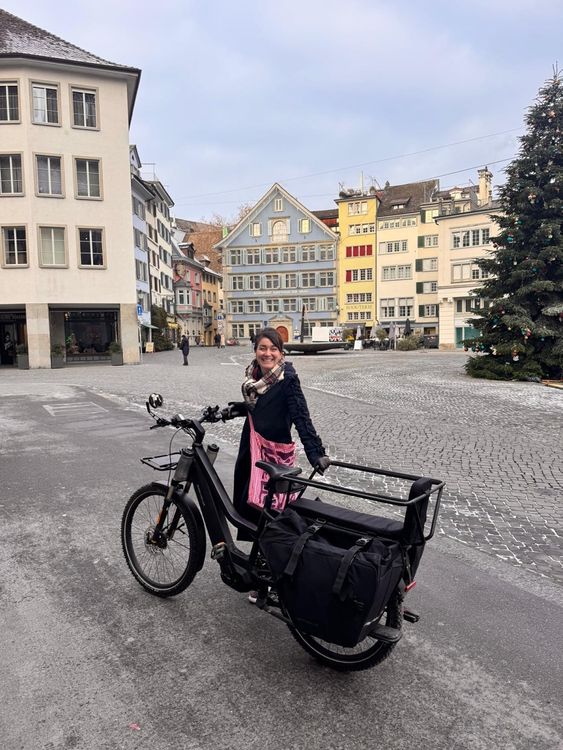 Riese & Müller Multicharger Mixte GT Vario HS E-Bike (Gebraucht) in Zürich für CHF 3800 – nur ...