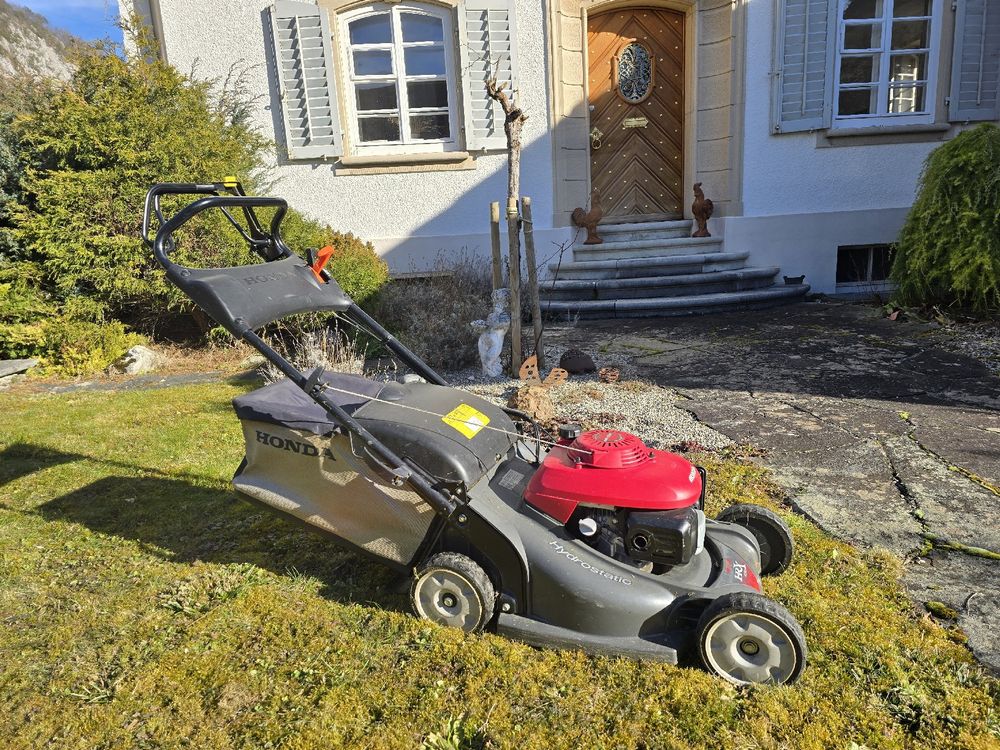 Honda Rasenmaher Test