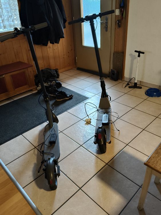 e trottis scooter innova goods jcean drive (Gebraucht) in Oberstocken ...