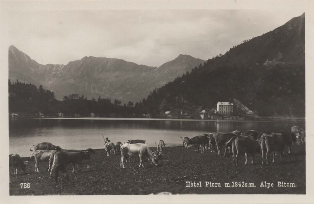 Hotel Piora - Alpe Ritom (Neu (gemäss Beschreibung)) in Melano für CHF ...