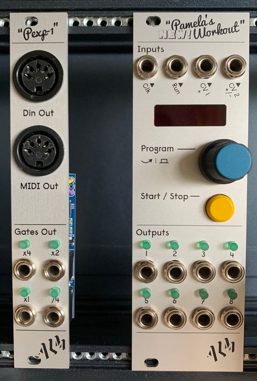 ALM Busy Circuits - Pamela's NEW Workout + Pexp-1 - Eurorack (Gebraucht ...