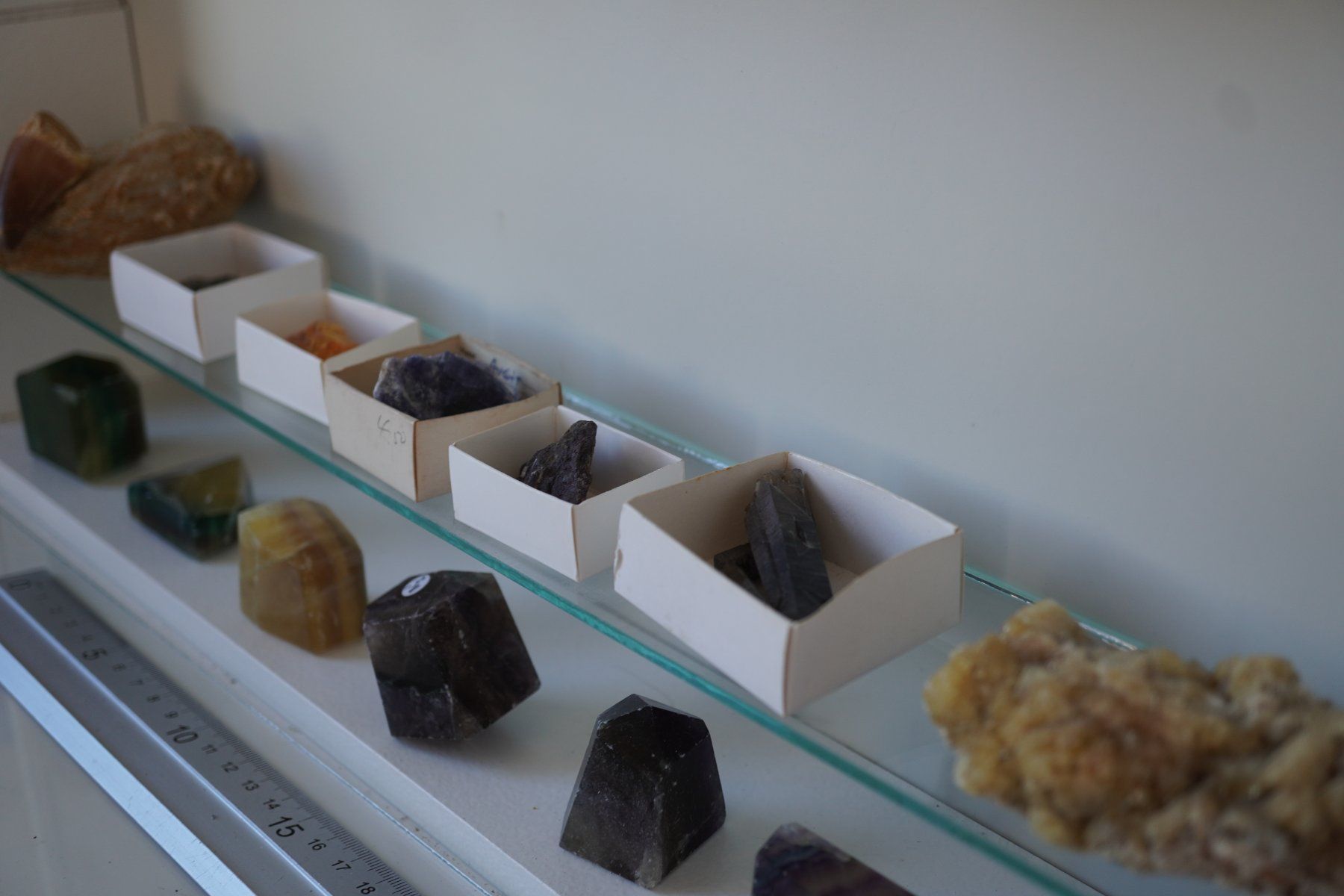 Vitrine voller Mineralien-Fossilien - Gemischt (Neu und originalverpackt) in Eschenbach SG für ...