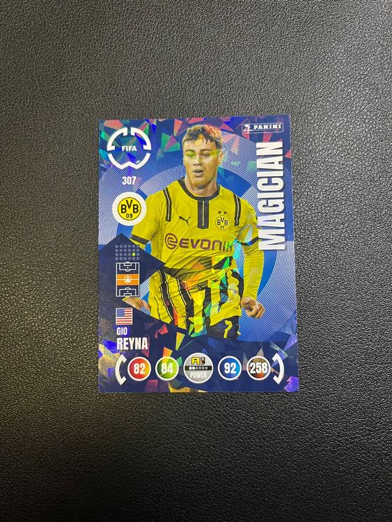 Panini Club World Cup 2025 Gio Reyna 307 (Neu (gemäss Beschreibung)) in oberrüti für CHF 0.7 ...