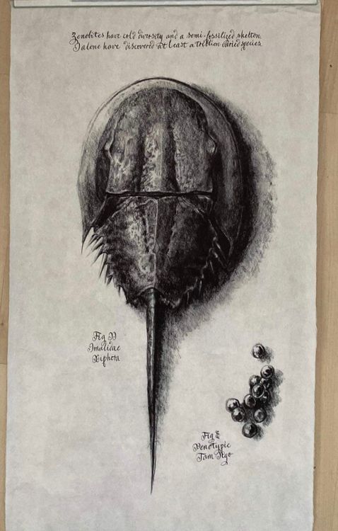 Original Alien Covenant: Screen used Movie Prop, Prometheus (Neu ...