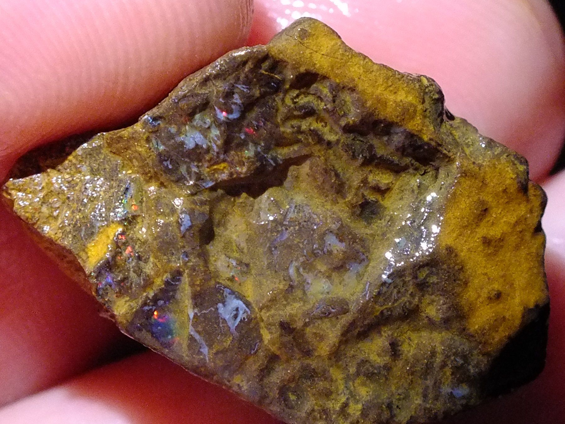 BOULDER ROH OPAL 42.50 Karat Gebot 1.- Elektrisch Rot feuer (Neu und ...