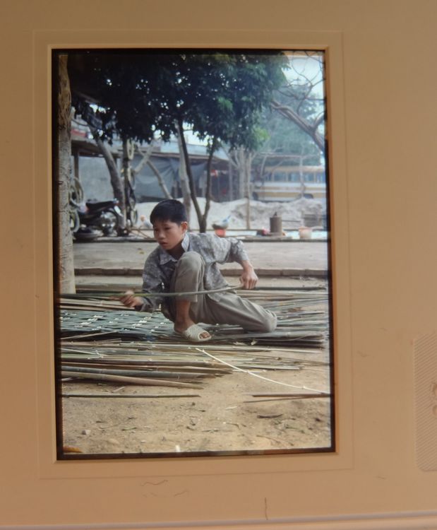 Dia Bambus Junge 2002 Vietnam (Neu (gemäss Beschreibung)) in Lausen für ...
