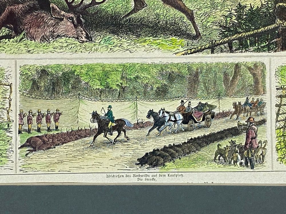 Holzschnitt koloriert Jagd Hirsch 1890 (Gebraucht) in Vaduz für CHF 29 – mit Lieferung auf ...