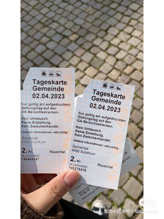 2 day ticket 4.2 (Neu und originalverpackt) in für CHF 45 – mit ...
