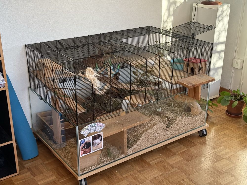 Mäusekäfig (Gebraucht) in Zürich für CHF 88 – nur Abholung auf Ricardo ...