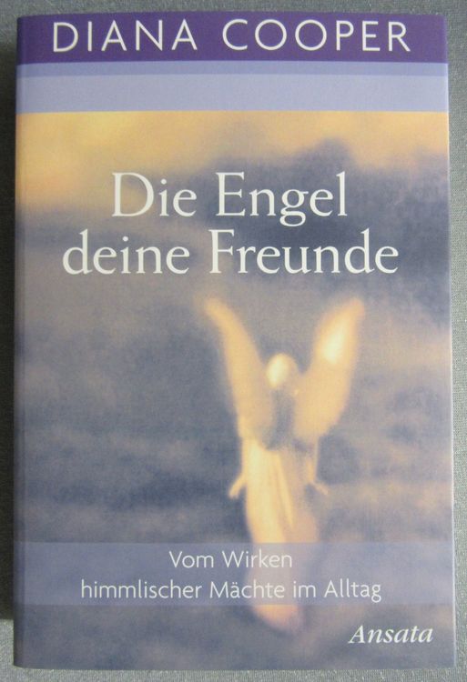 Die Engel deine Freunde - von Diana Cooper (Gebraucht) in Auenstein für ...