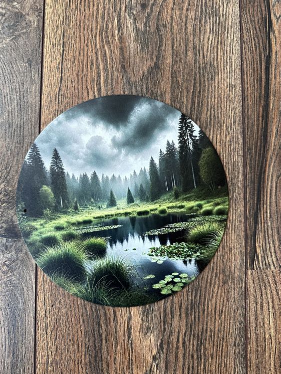 Rundes Wandschild Landschaft See Wald Deko Naturbild modern (Neu und originalverpackt) in Chur ...