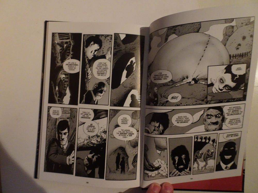 Ragemoor Comic von Jan Strnad & Richard Corben Englisch (Gebraucht) in ...