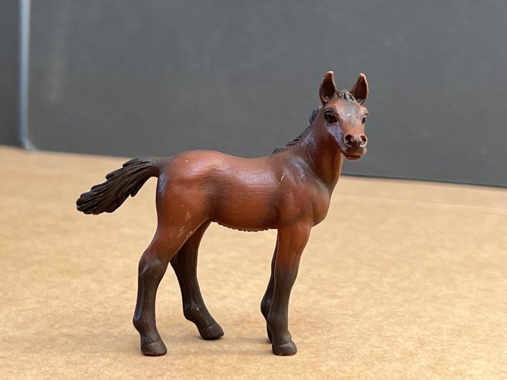 Schleich 13276 Araber Fohlen Pferd | Kaufen auf Ricardo